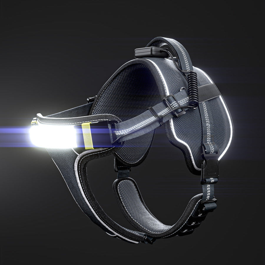 Light Up Dog Harness | LED Dog Harness | LED Dog Harnesses | Dog Light ...