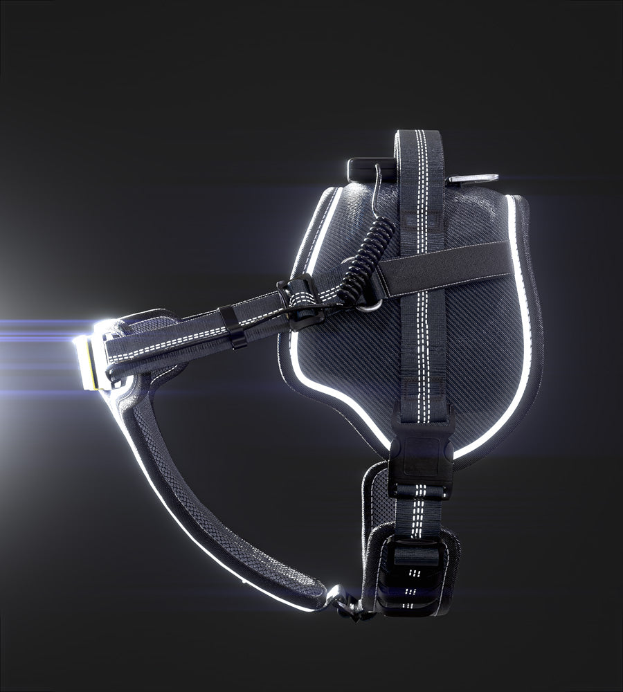 Light Up Dog Harness | LED Dog Harness | LED Dog Harnesses | Dog Light ...